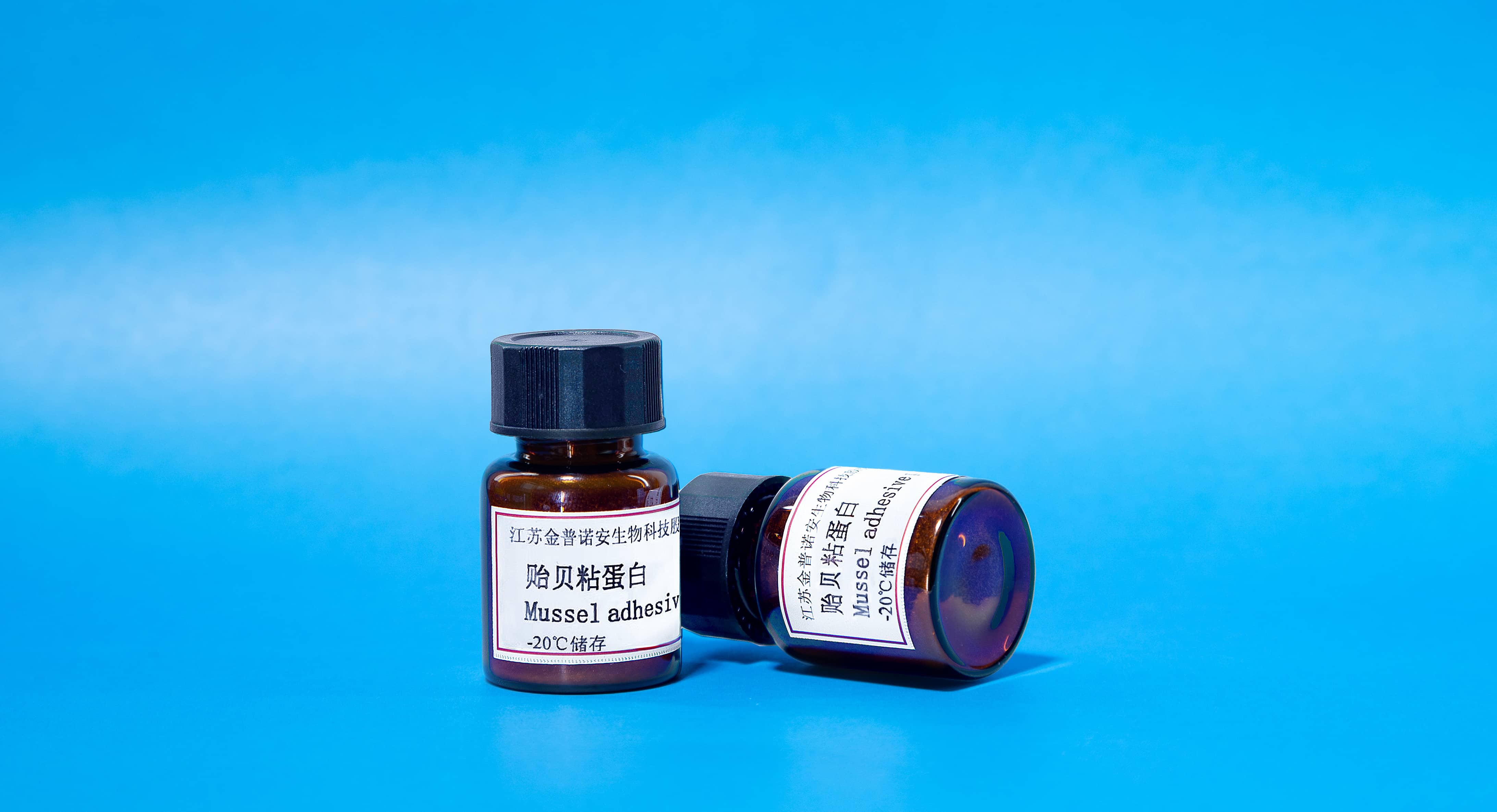 贻贝粘蛋白（Mussel Adhesive Proteins）-江苏金普诺安